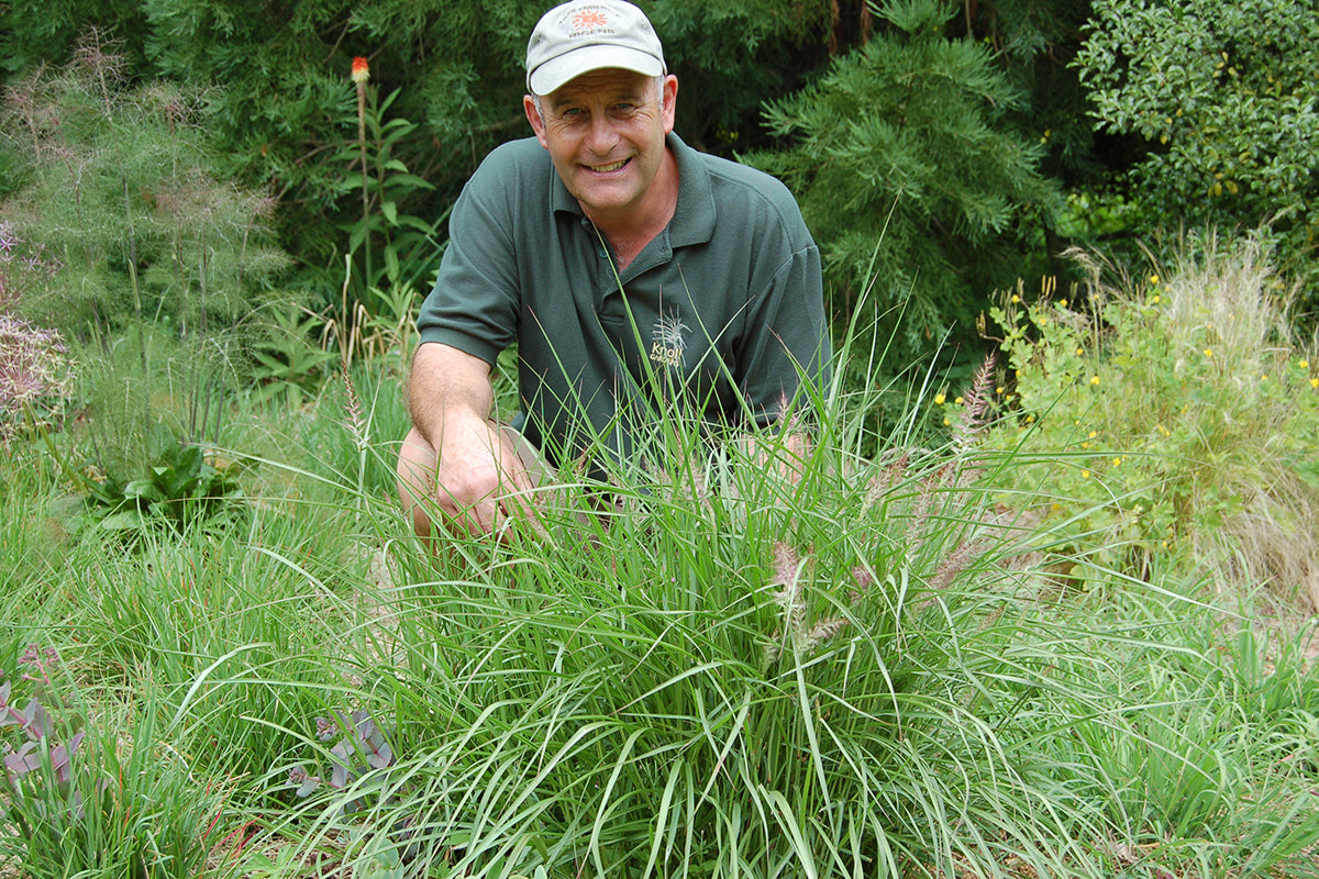 Q&A with Neil Lucas, Knoll Gardens – Genus Gardenwear